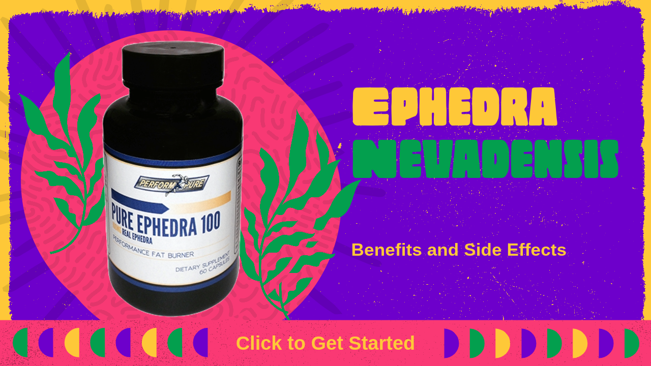 Ephedra Nevadensis Benefits and Side Effects On Sale USA - Perform Pure